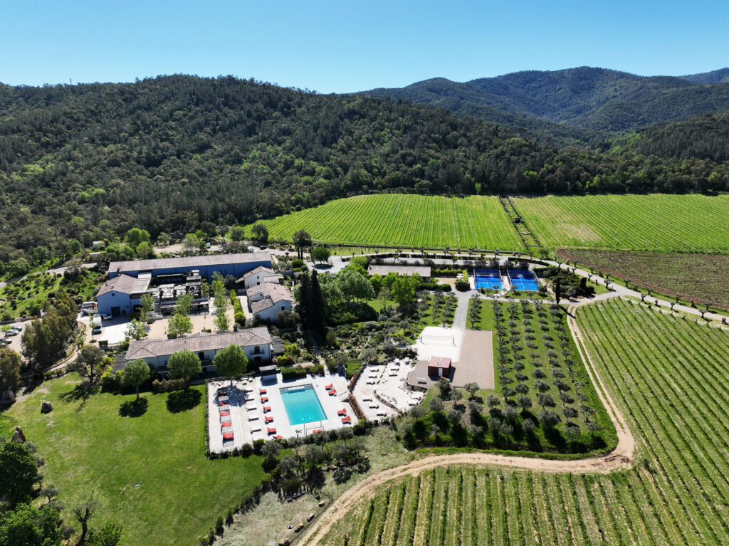 Ultimate Provence | Our vineyards in Provence